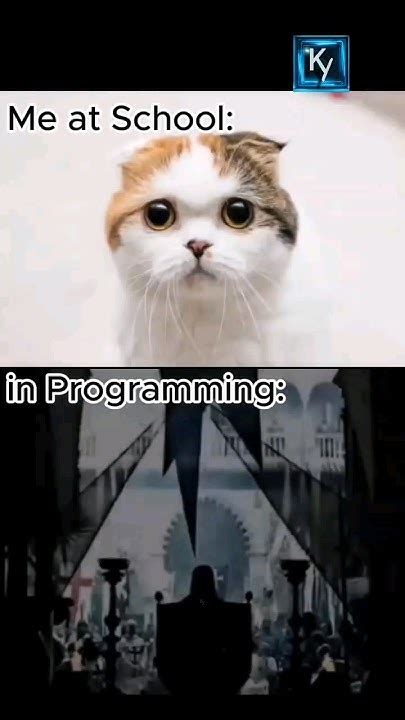 Me In Programming🗿🗿 Viral Technology Trending Python