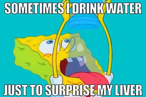 50 Funny Spongebob Memes And Interesting Facts