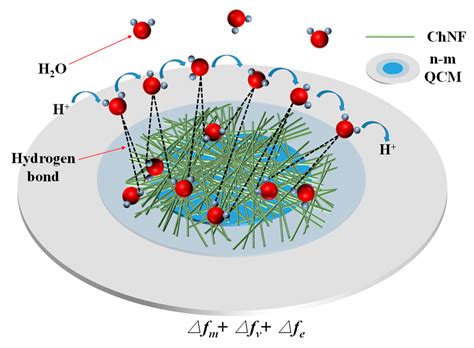 Impedance Analysis Of Chitin Nanofibers Integrated Bulk Acoustic Wave Humidity Sensor With