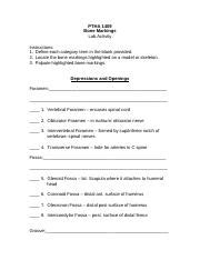 Exploring Bone Markings Definitions And Palpation Techniques Course Hero