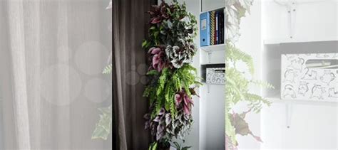 Фитостена с настоящими растениями купить в Москве Товары для дома и дачи Авито