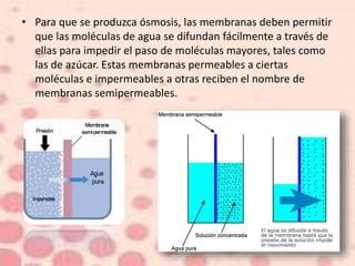 Hidrodinámica Movimiento De Los Liquidos Cta Diapositivas Pptx