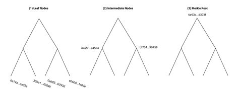 Understanding Merkle Trees Hamish Gibbs
