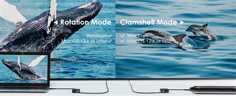 Wavlink Usb To Dual Hdmi Adapter With Displaylink Chip Support Dual 4k 60hz And Up To 6 Montior