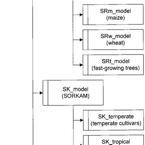 The Crop Model Hierarchy Fig 3 Simple Water Uptake Implemented At