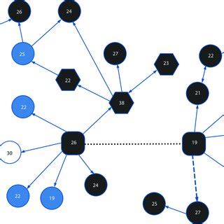 FIGURE A Combined Sexual Social And Molecular Phylogenetic Network Download Scientific