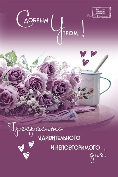 Мир красивых открыток
