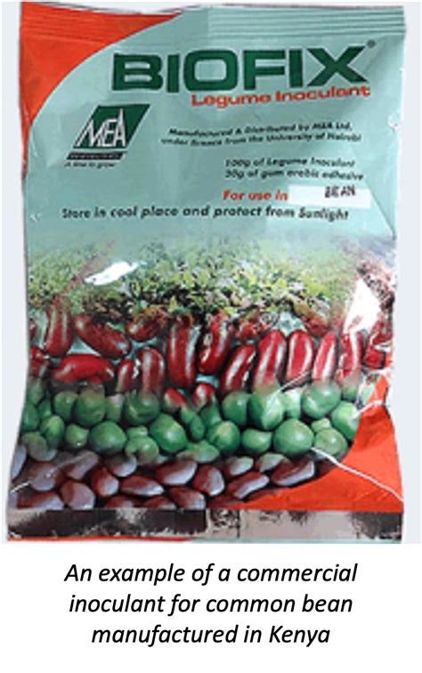 Solution Seed Inoculation With Rhizobia