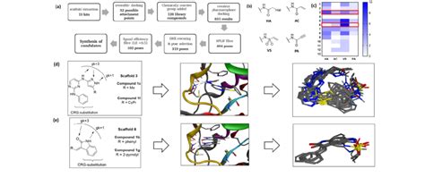 A Virtual Screening And Filter Strategy For The In Silico Discovery