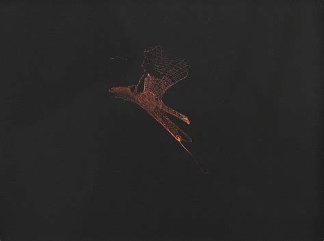 Sandra Selig 1972 Australia Works In Past Sales