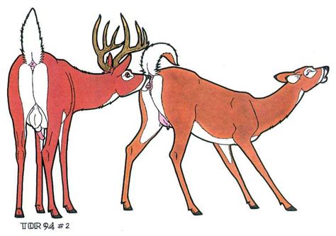 Rule 34 Anus Balls Cervine Closed Eyes Deer Female Feral Licking Male Penis Pussy Raised Tail