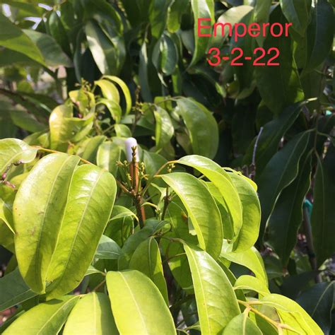 0 F271343 8 Cc5 4348 Be89 96 A547 Bcc71 E — Postimages