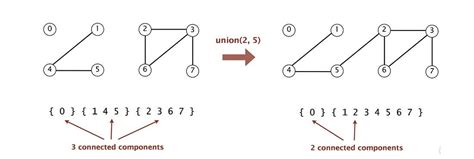 Decoding Dynamic Connectivity A Journey From Problem Modeling To