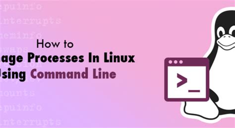 Linux List All Processes By Name User Pid Ubiq Bi