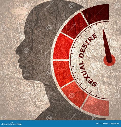 Sexual Desire Meter Stock Illustration Illustration Of Partner 171103264