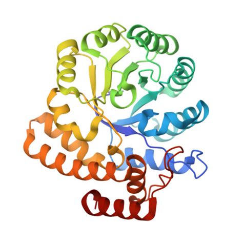 Rcsb Pdb 4imc Crystal Structure Of Pasteurella Multocida N Acetyl D Neuraminic Acid Lyase