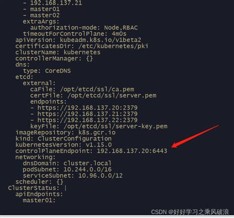 k8s集群添加master节点提示control plane instance a cluster that doesn‘t have a