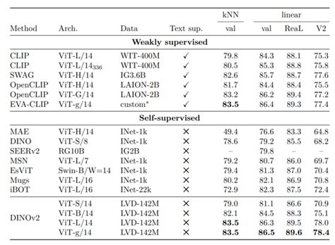 DINOv2 Visual Feature Learning Without Supervision