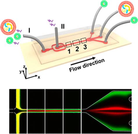 Field Free Isolation Of Exosomes From Extracellular Vesicles By Microfluidic Viscoelastic Flows