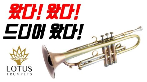 긴급 로투스 유니버셜 한국 상륙 1대 긴급 재입고 Youtube