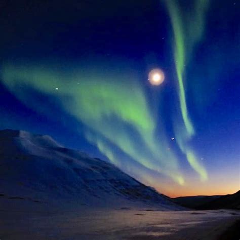 Frozen Module 4 Specialist Skills Training Sweden Wild Human