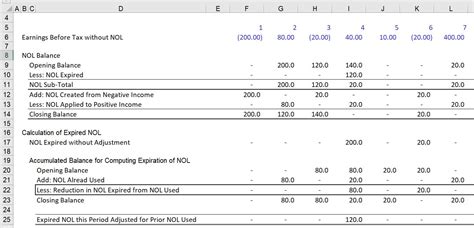 Computing NOL With Expiration Edward Bodmer Project And Worksheets Library