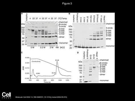 Volume 14 Issue 5 Pages June 2004 Ppt Download