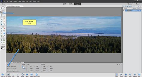 solved unlink layers in photoshop elements adobe community 14829146