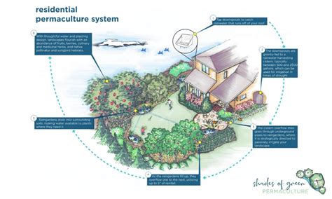 Suburban Permaculture Design