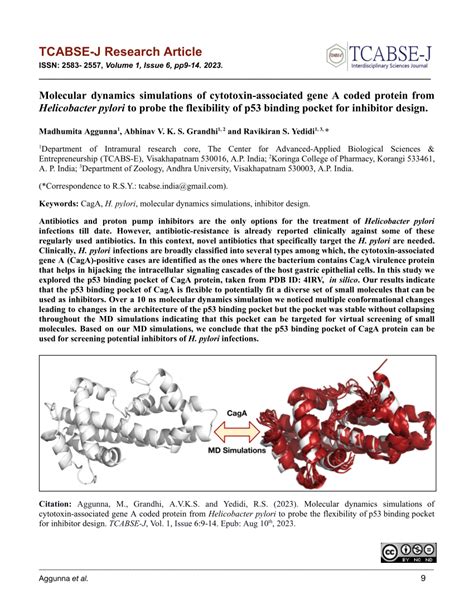 Pdf Molecular Dynamics Simulations Of Cytotoxin Associated Gene A
