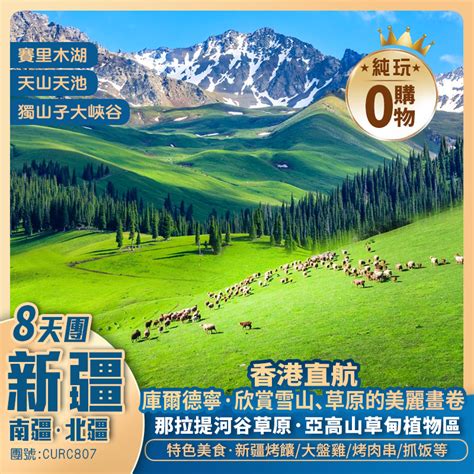 新怡旅遊