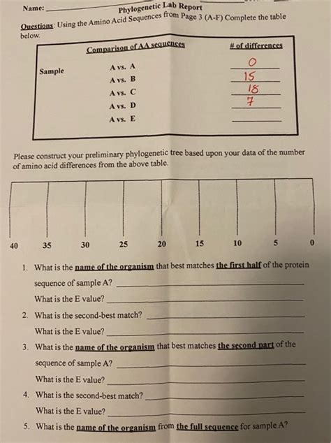 Phylogenetic Lab Report Questions Using The Amino