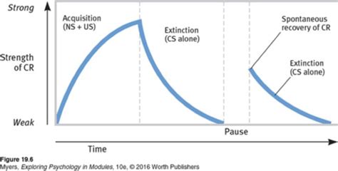 Learning Chapter 7 Macmillan Learning Flashcards Quizlet
