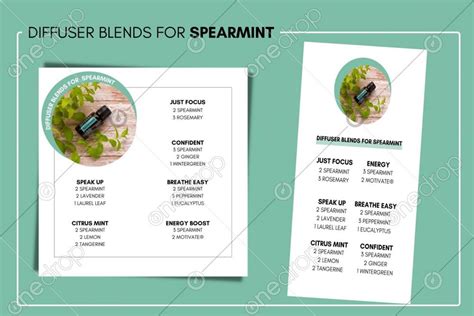 Spearmint Diffuser Blends By Pixel Perfect Spearmint Diffuser Blends By Pixel Perfect