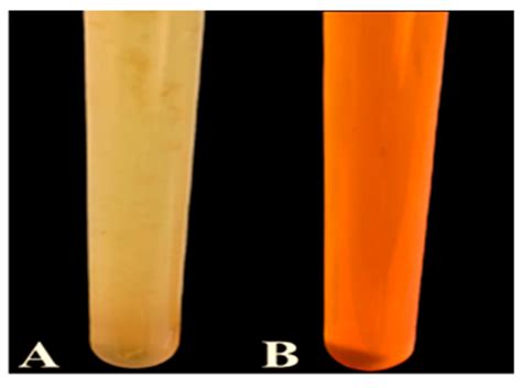 Biogenic Selenium Nanoparticles Anticancer Antimicrobial Insecticidal Properties And Their