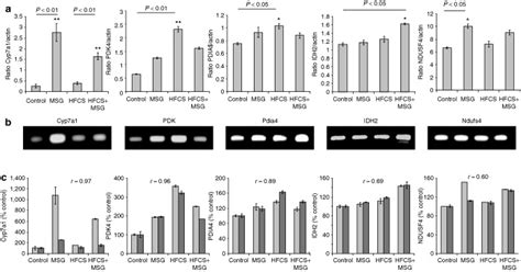 Validation Of Affymetrix Microarray Analysis Of Gene Expression Using