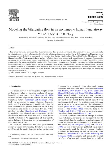 Pdf Modeling The Bifurcating Flow In An Asymmetric Human Lung Airway