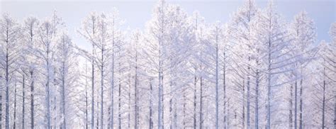 Erythema Multiforme My Gp Notes