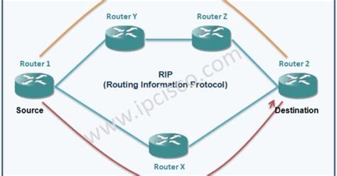 Routing With RIP Routing Information Protocol IpCisco