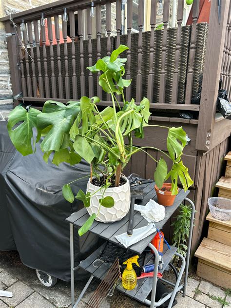 best way to divide these nodes r plants