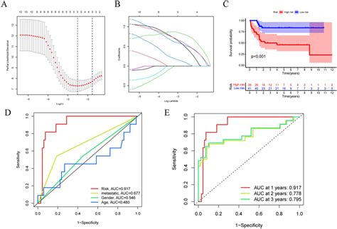 Construction Of The Lncrna Signature A The Lasso Coefficient Of The