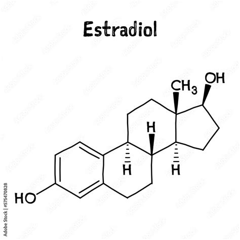 Image Vectorielle Stock Estradiol Molecular Structure Estradiol Is An
