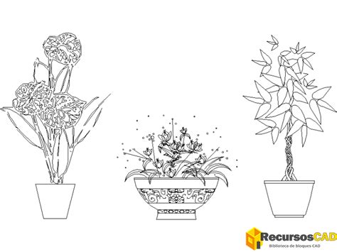 Bloques Autocad Hermosas Plantas Ornamentales En Macetas En Dwg 2d