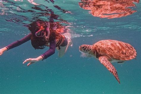 2025 Pulau Redang Snorkeling And Island Hopping Full Day Tour With