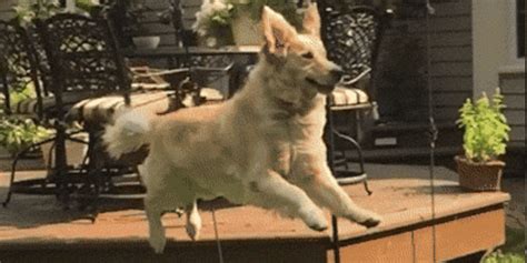 When My Try Catch Doesnt Work The Coding Love Programmer Humor