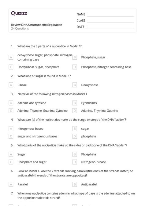 Dna Structure And Replication Review Worksheet Dna Replication