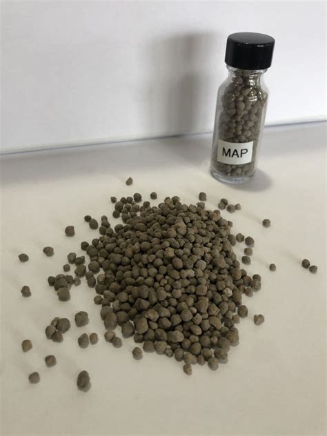 Fertilizer Holmes Agro