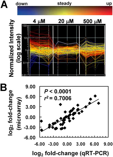 Confirmation Of Quality Of Microarray Results A Gene Expression Download Scientific Diagram