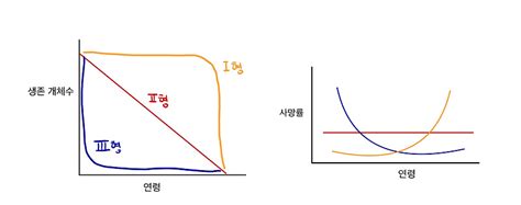생존생장성장 곡선 및 알리효과 생태학