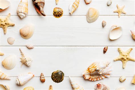 여름 시간 개념 컬러 테이블에 아름다운 불가사리와 바다 조개가있는 평평한 평지 구성 텍스트를위한 복사 공간이있는 상단 전망 조개 껍데기에 대한 스톡 사진 및 기타 이미지